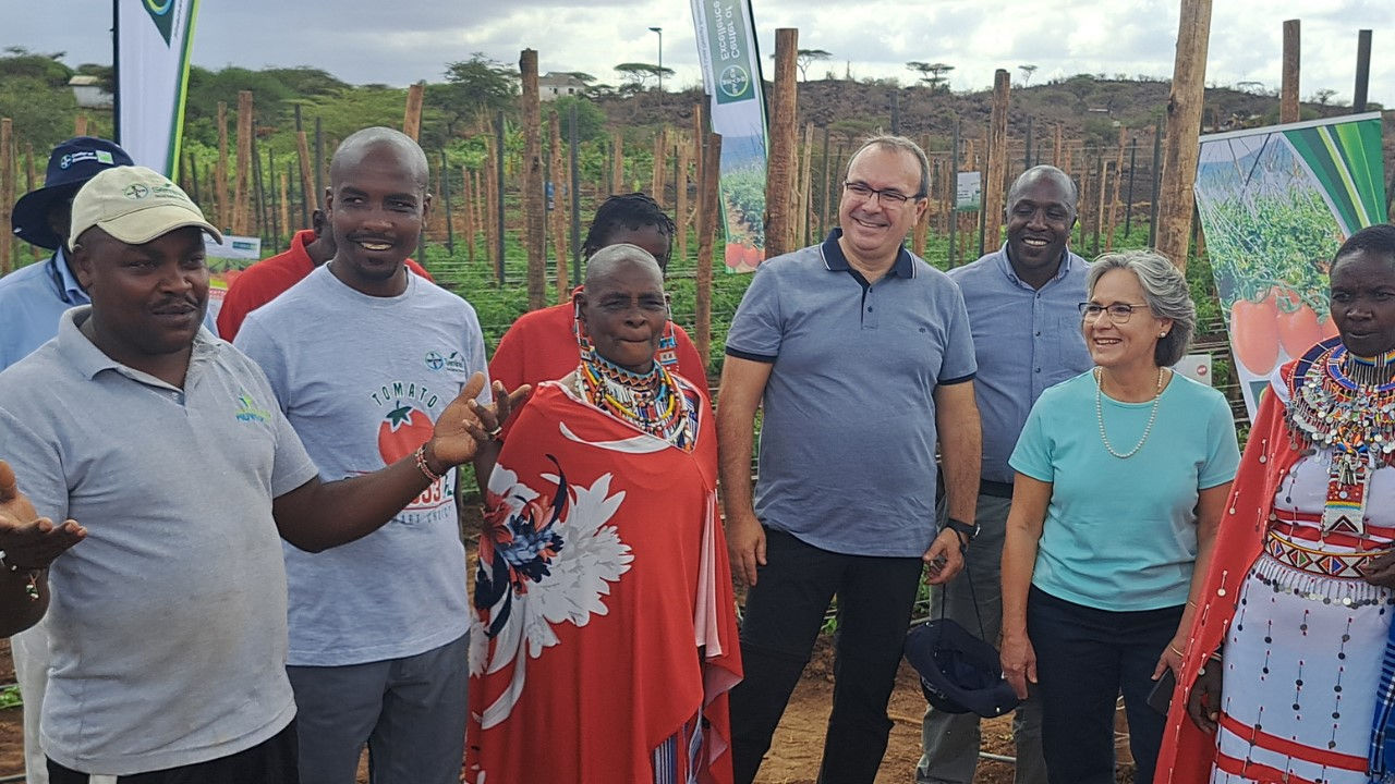 Seminis | High quality vegetable seed varieties | Vegetables by Bayer