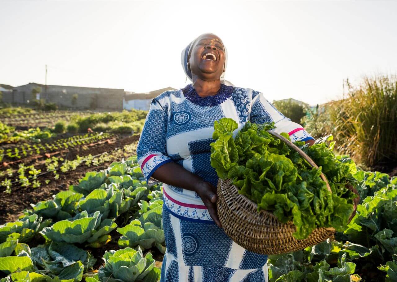 Our Business | Crops Science | Bayer - Ivory Coast