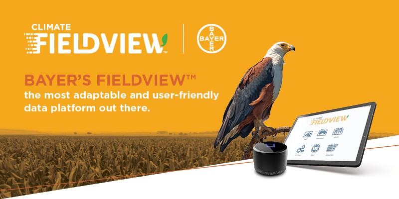 Fieldview App Settings Youtube