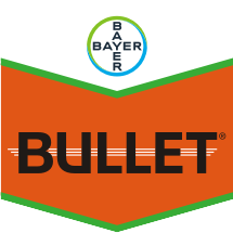 Product Detail Page - English