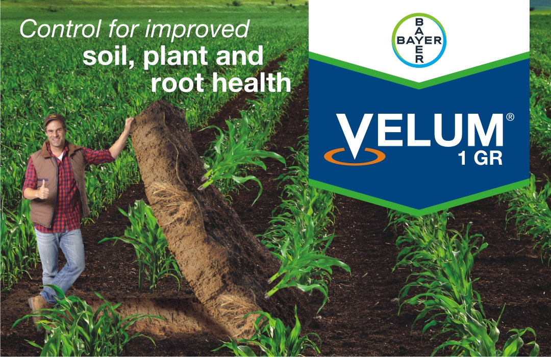 Bayer Crop Science Division Southern Africa - Bayer